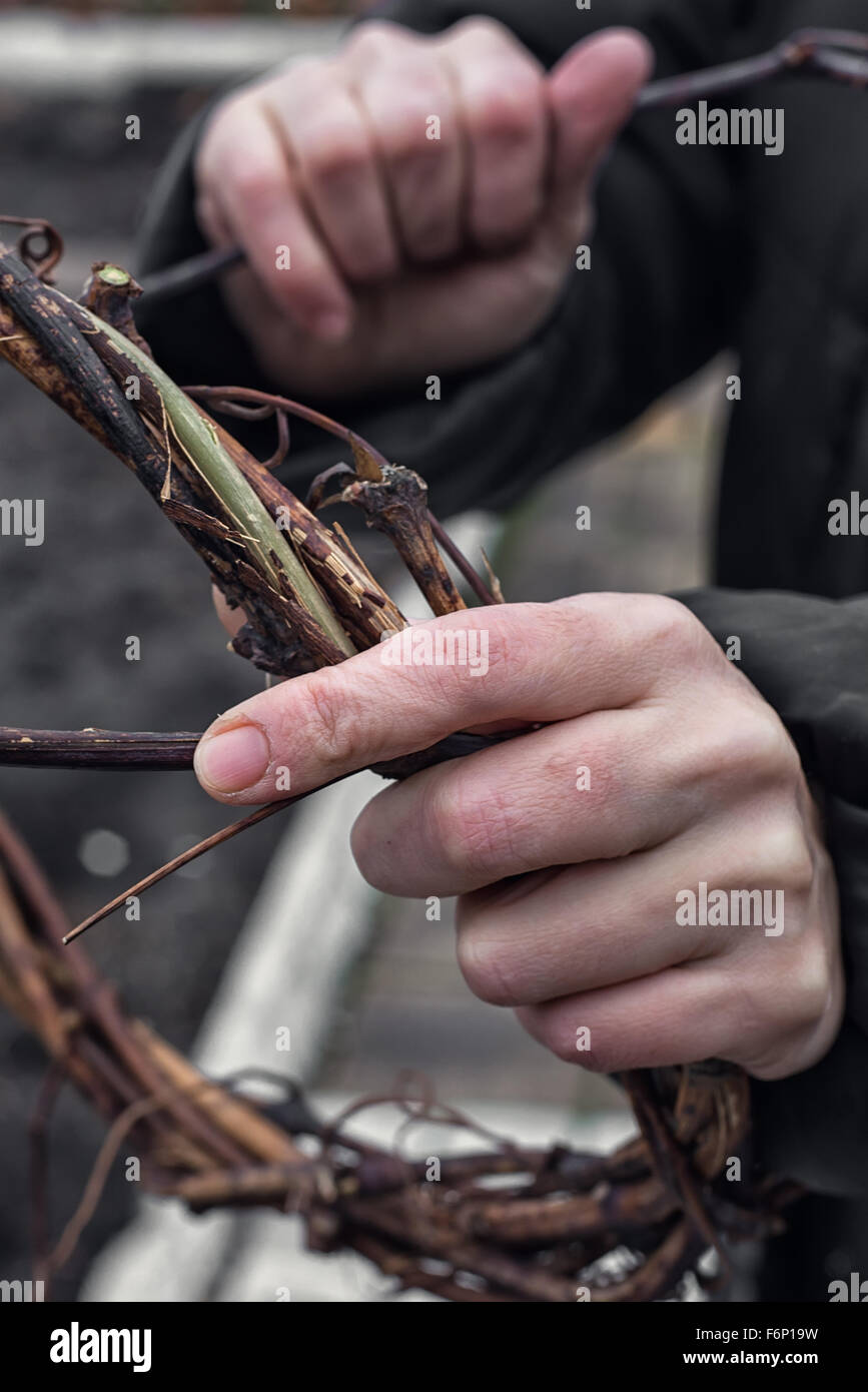 Cut grape branches twisted into crown manually Stock Photo - Alamy