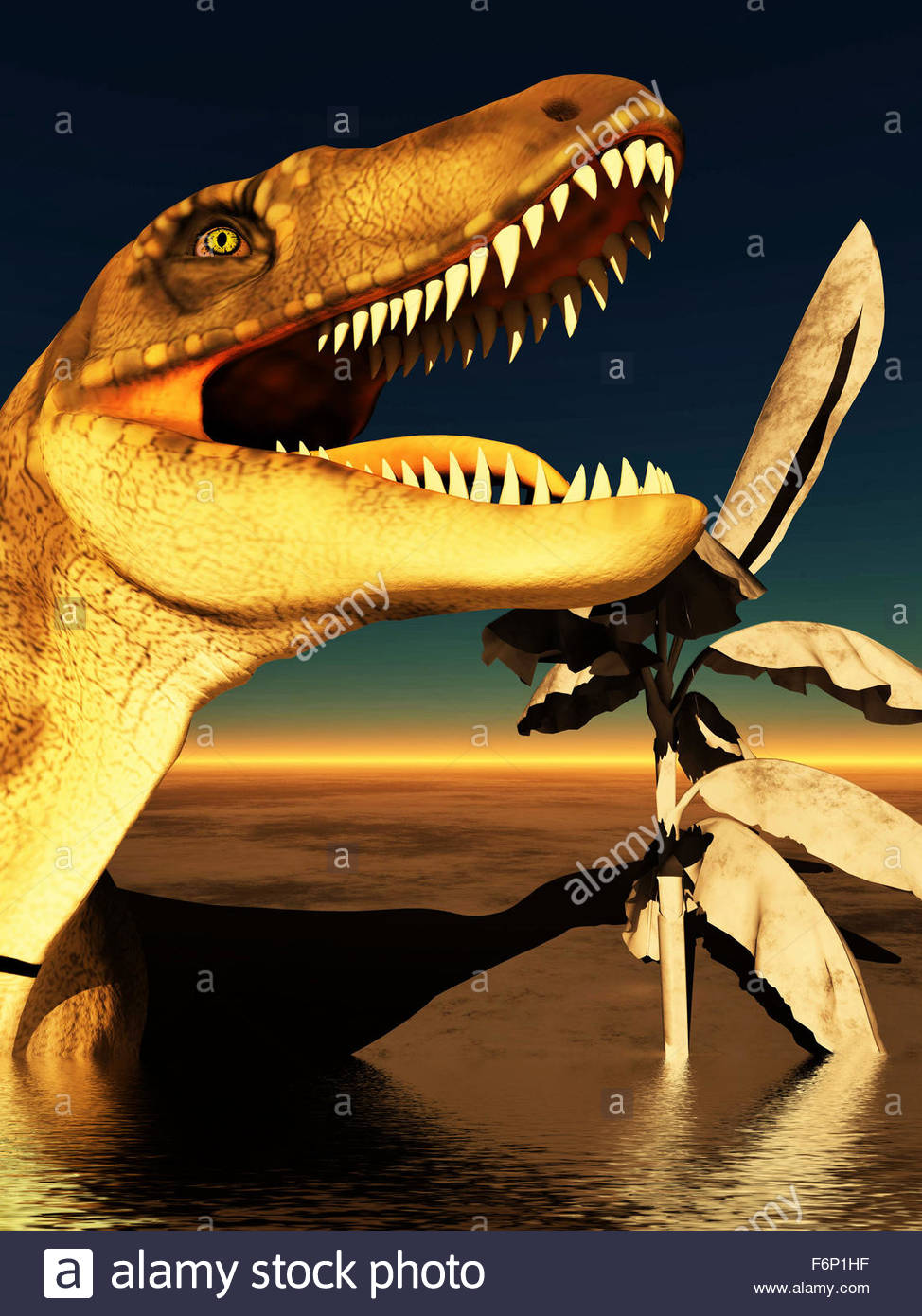 Diplodocus Head Stock Photos & Diplodocus Head Stock Images - Alamy