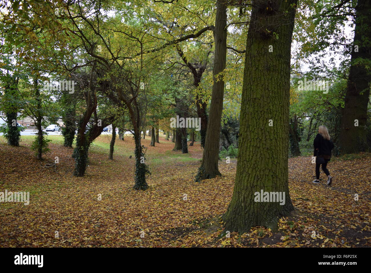 Nature in northampton hi-res stock photography and images - Alamy