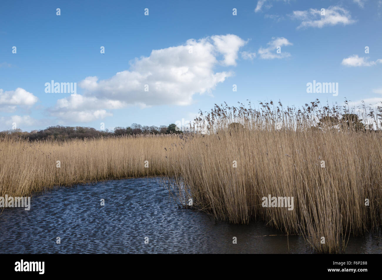 Hook Point High Resolution Stock Photography and Images - Alamy