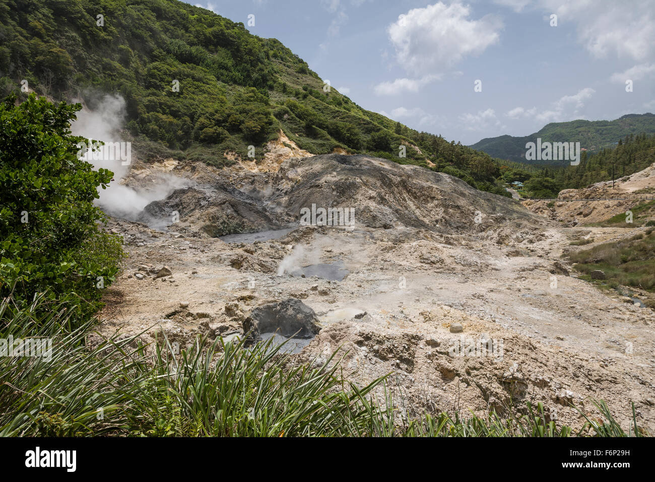 Steam rising from the sulphur springs of the dormant Qualibou volcano ...