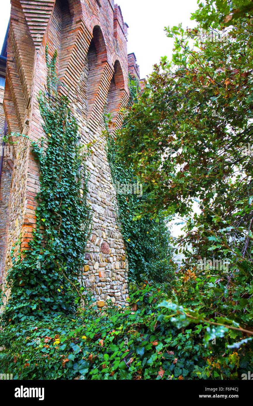 Old Castle S Walls Covered With Green Ivy Stock Photo Alamy