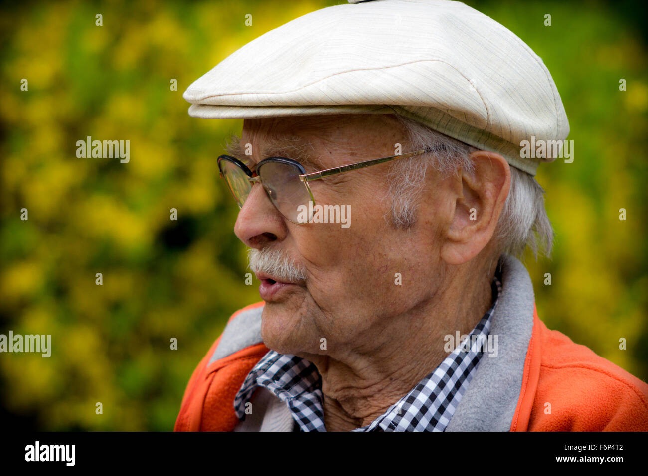 Elderly man gray hair beard hi-res stock photography and images - Alamy