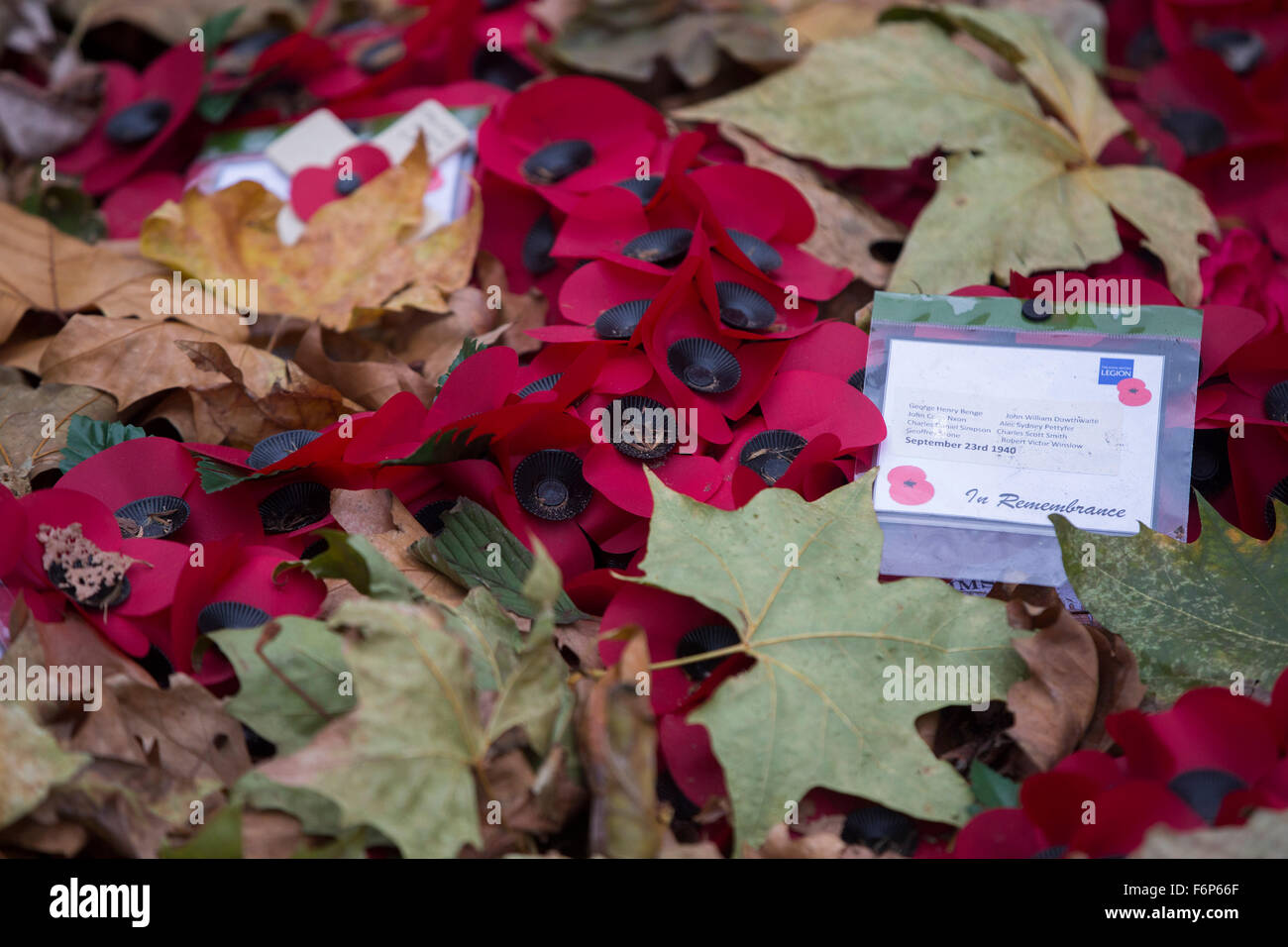Remembrance poppies are displayed in London, UK Stock Photo - Alamy