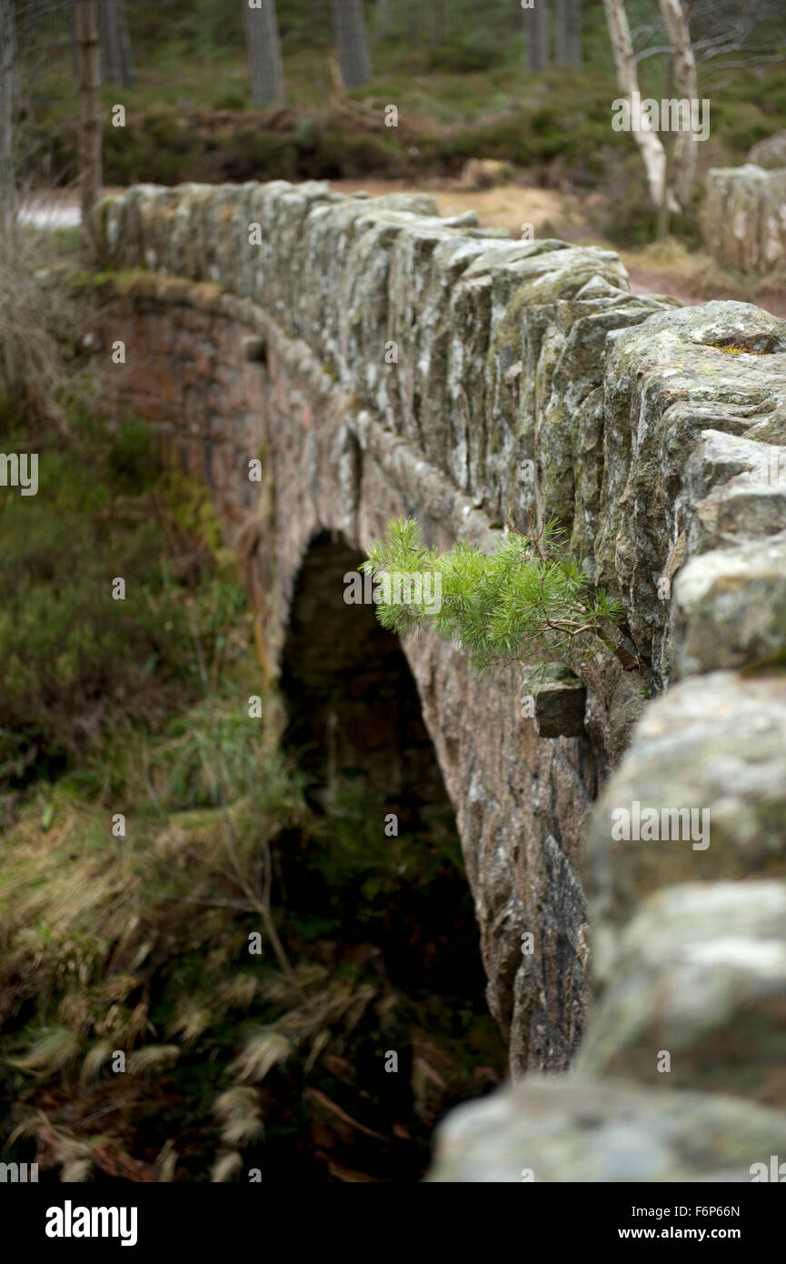 A lovely old fashioned bridge over the Water of Allachy in Glen Tanar ...