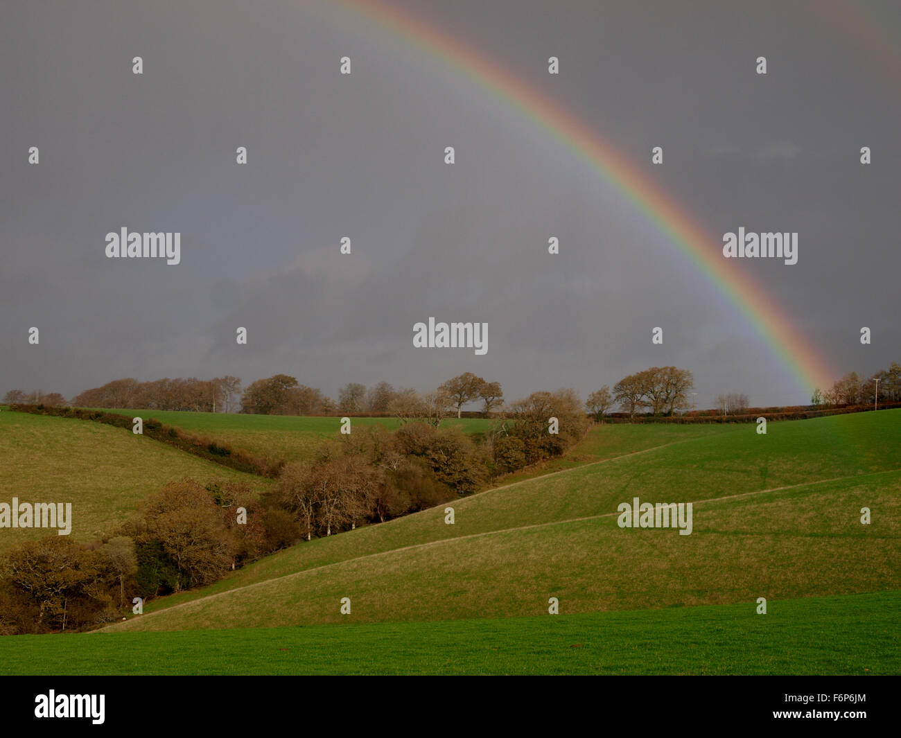 Rainbow over fields, Dartmoor, Devon, UK Stock Photo - Alamy