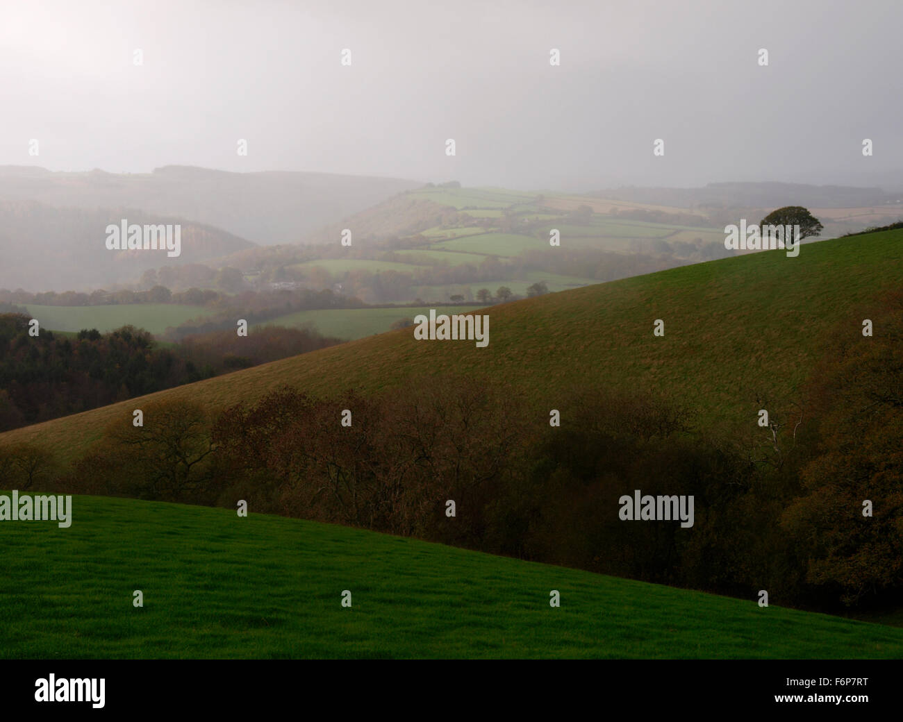 Wet winter's day on Dartmoor, Devon, UK Stock Photo - Alamy