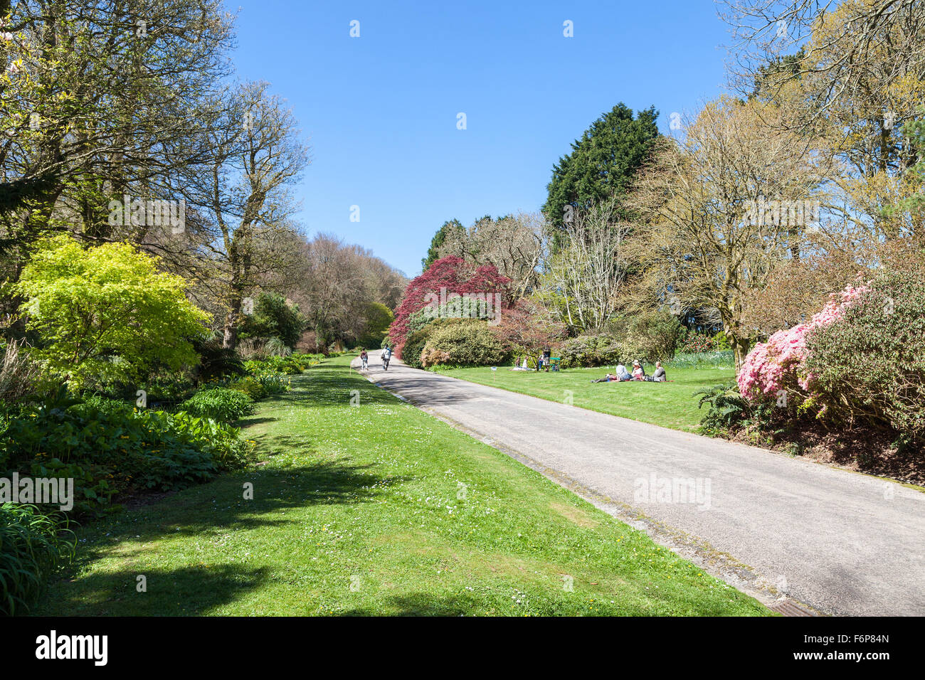 Trengwainton Gardens Cornwall, England, UK Stock Photo - Alamy