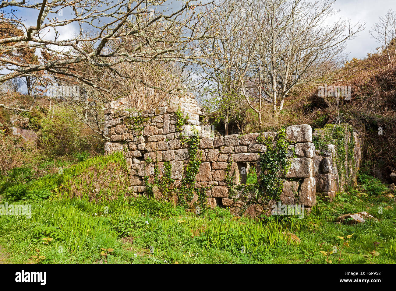 Overgrown Building Stock Photos & Overgrown Building Stock Images - Alamy
