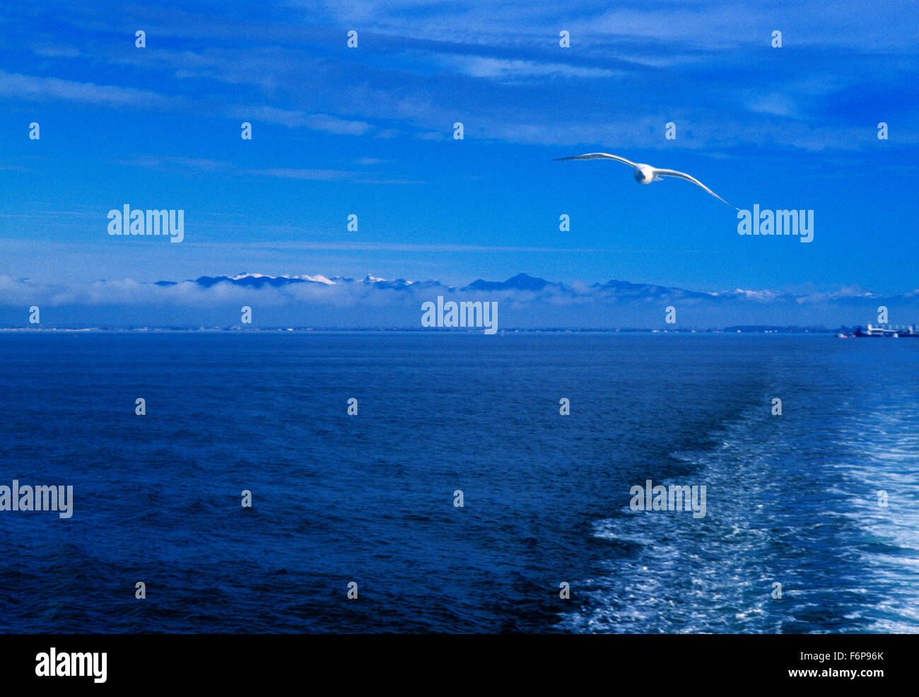 Following behind hi-res stock photography and images - Alamy