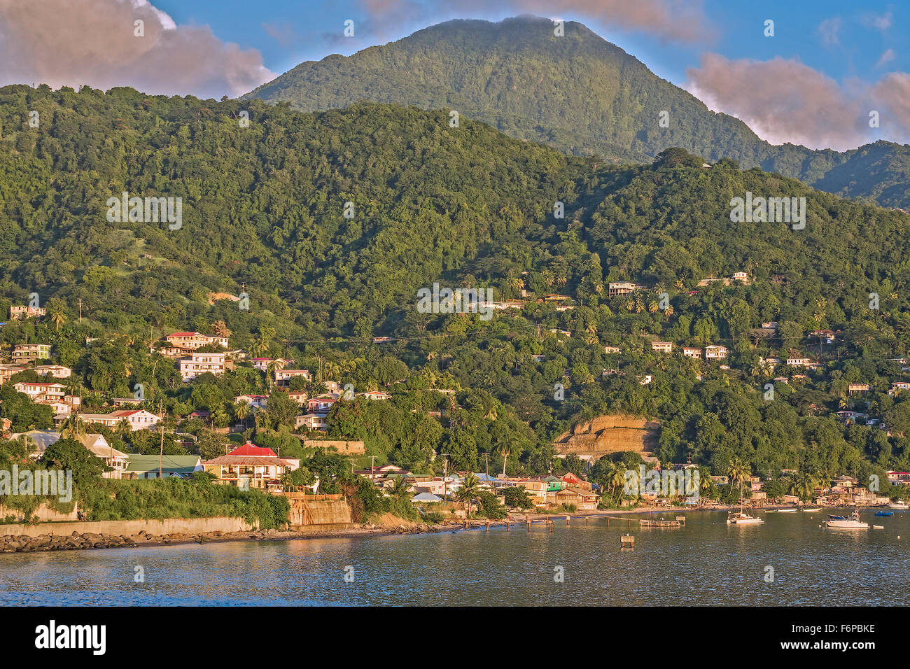 Dominica rainforest hi-res stock photography and images - Alamy