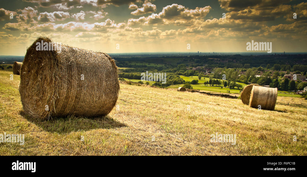 Lane head hi-res stock photography and images - Alamy