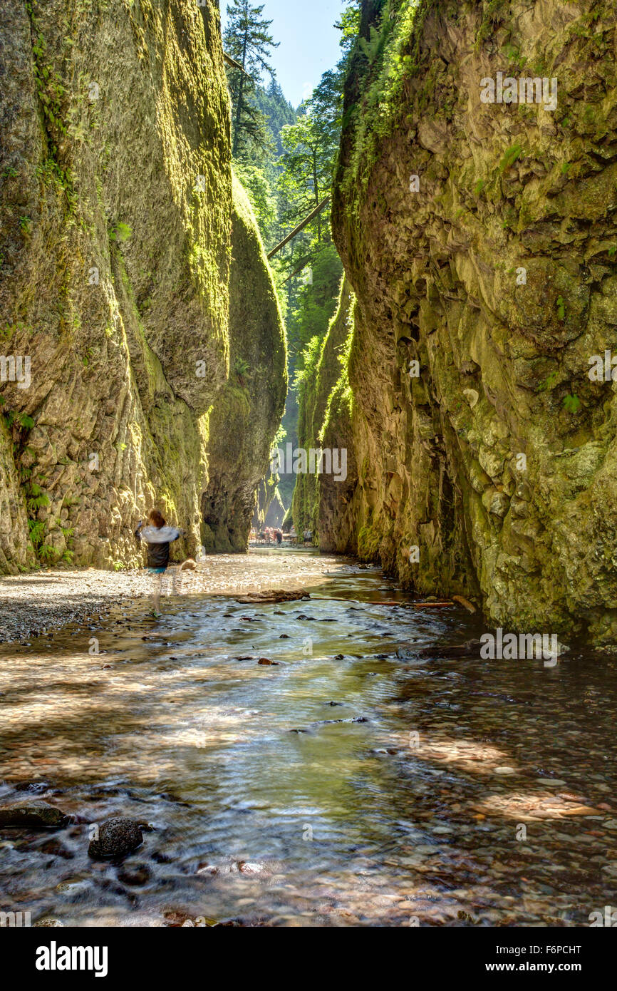 Oneonta Gorge Oregon Stock Photo - Alamy