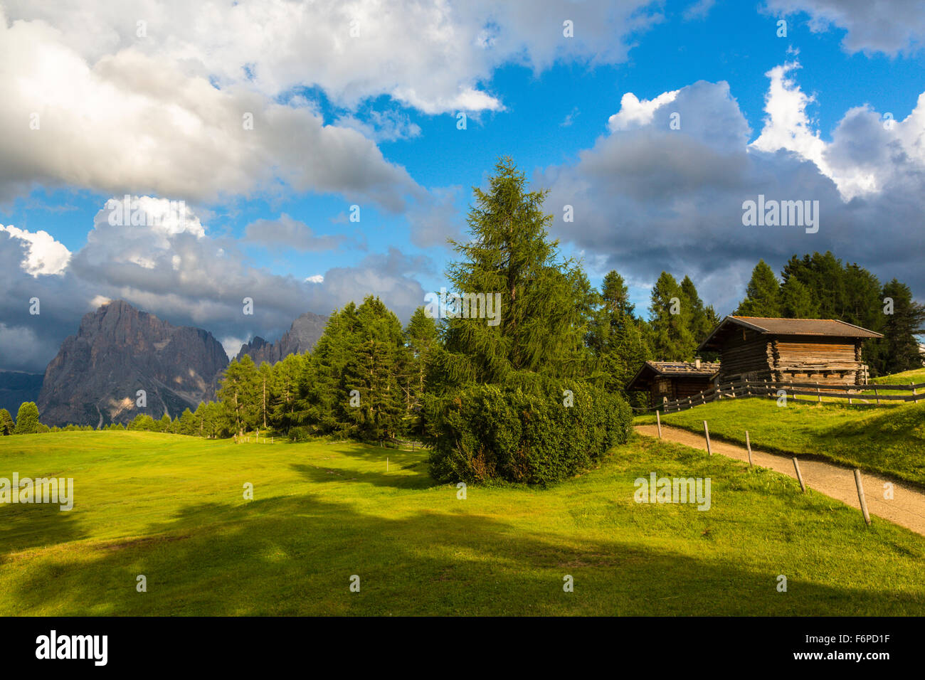 Cottages at the Seiseralm, Langkofel mountain, Plattkofel mountain ...