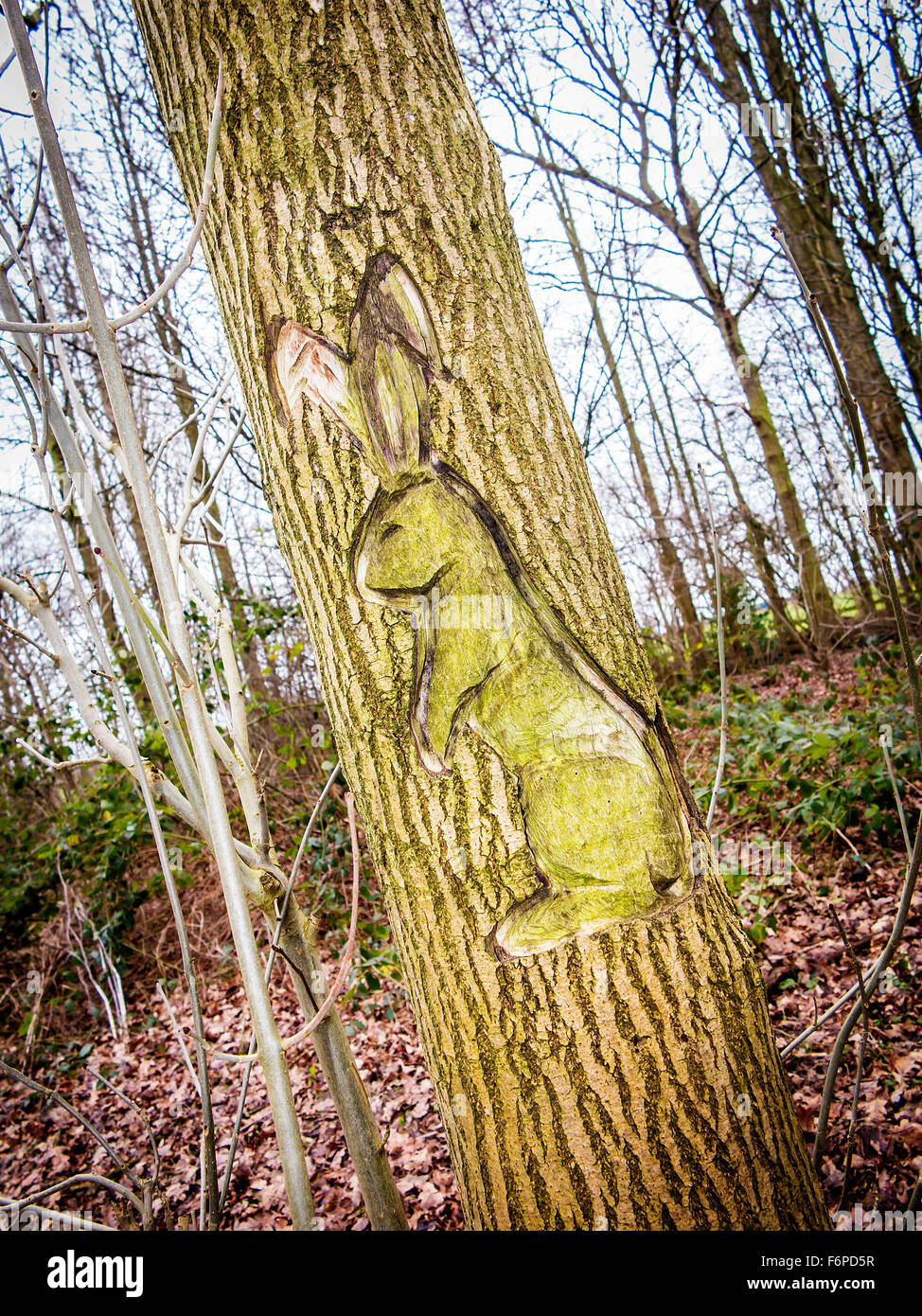 Rabbit wood carving hi-res stock photography and images - Alamy