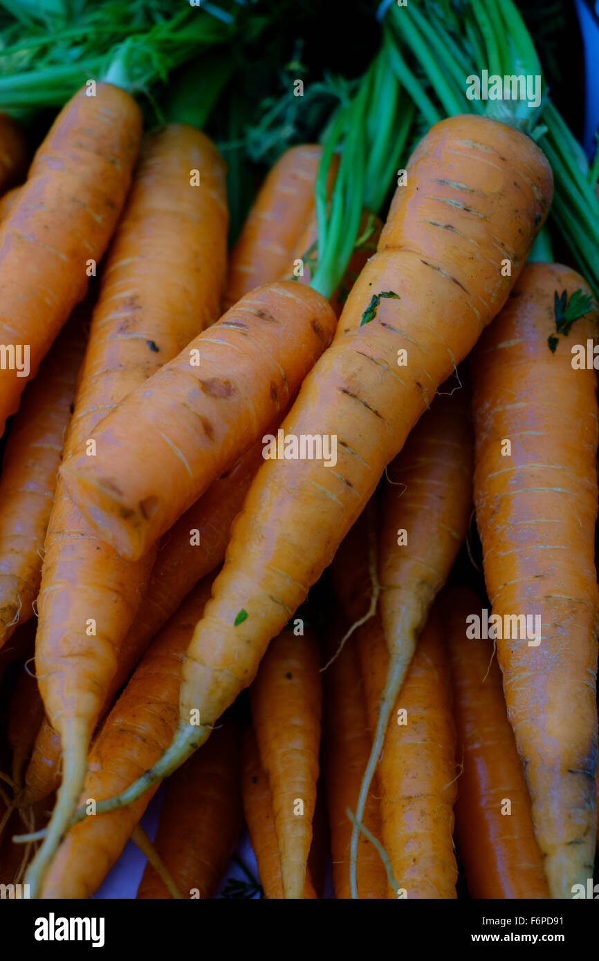 fresh carrots on a market stall Stock Photo - Alamy
