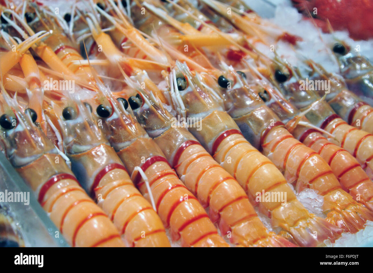 Scampi fishing hi-res stock photography and images - Alamy