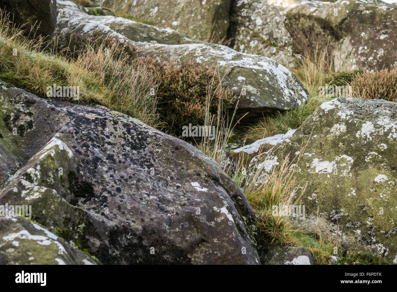 Natural weathered volcanic igneous rock background with grass and ...
