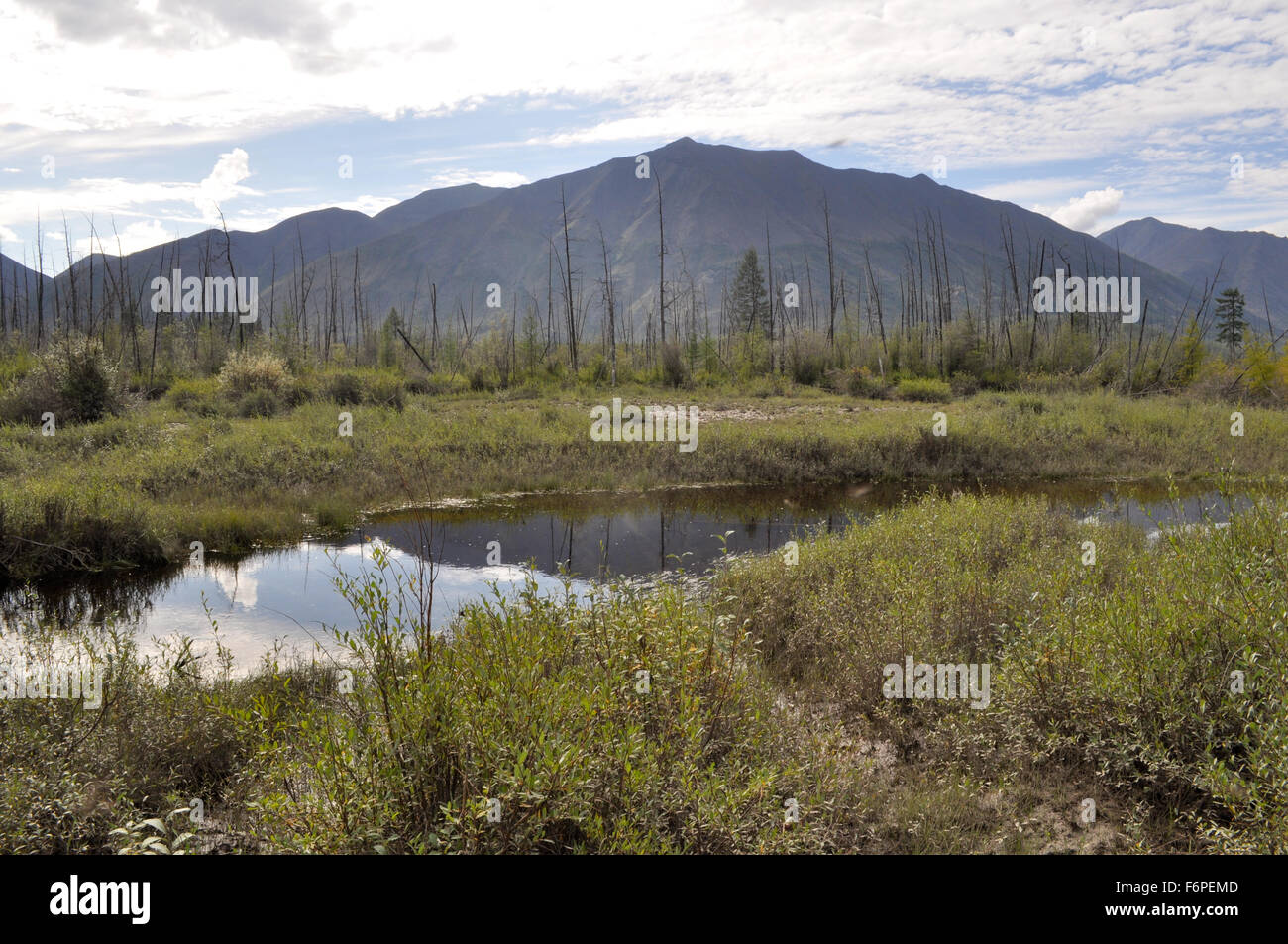Mountain river Suntar. Landscape of the far corners of the earth in ...