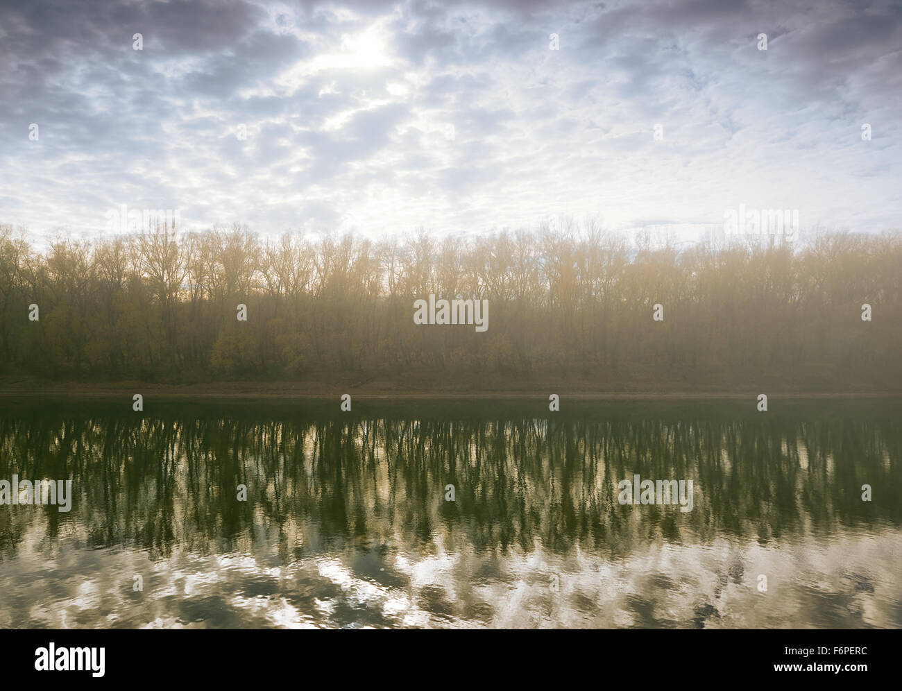 Fog in forest, backlight sun and trees reflected in river Stock Photo ...