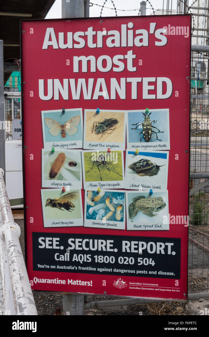 "Australia's most unwanted" information poster by AQIS with pictures of ...