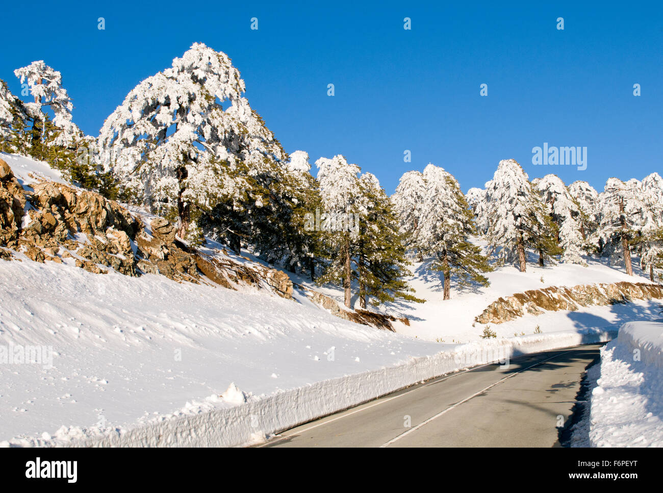 Idyllic winter landscape with snow and blue sky at Troodos Mountains in ...