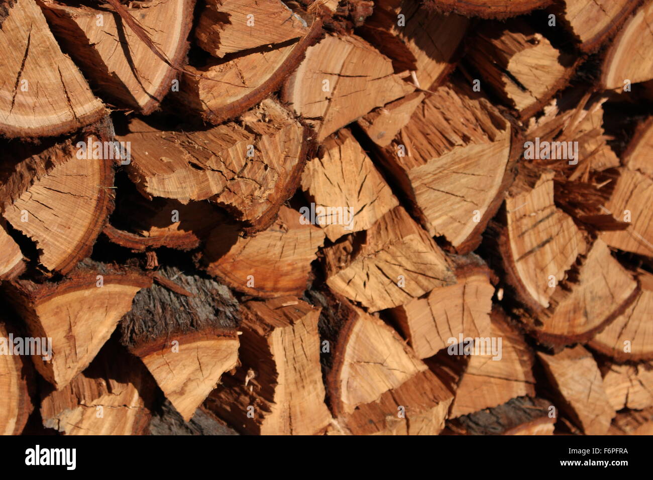 Wood pile in sunlight Stock Photo - Alamy
