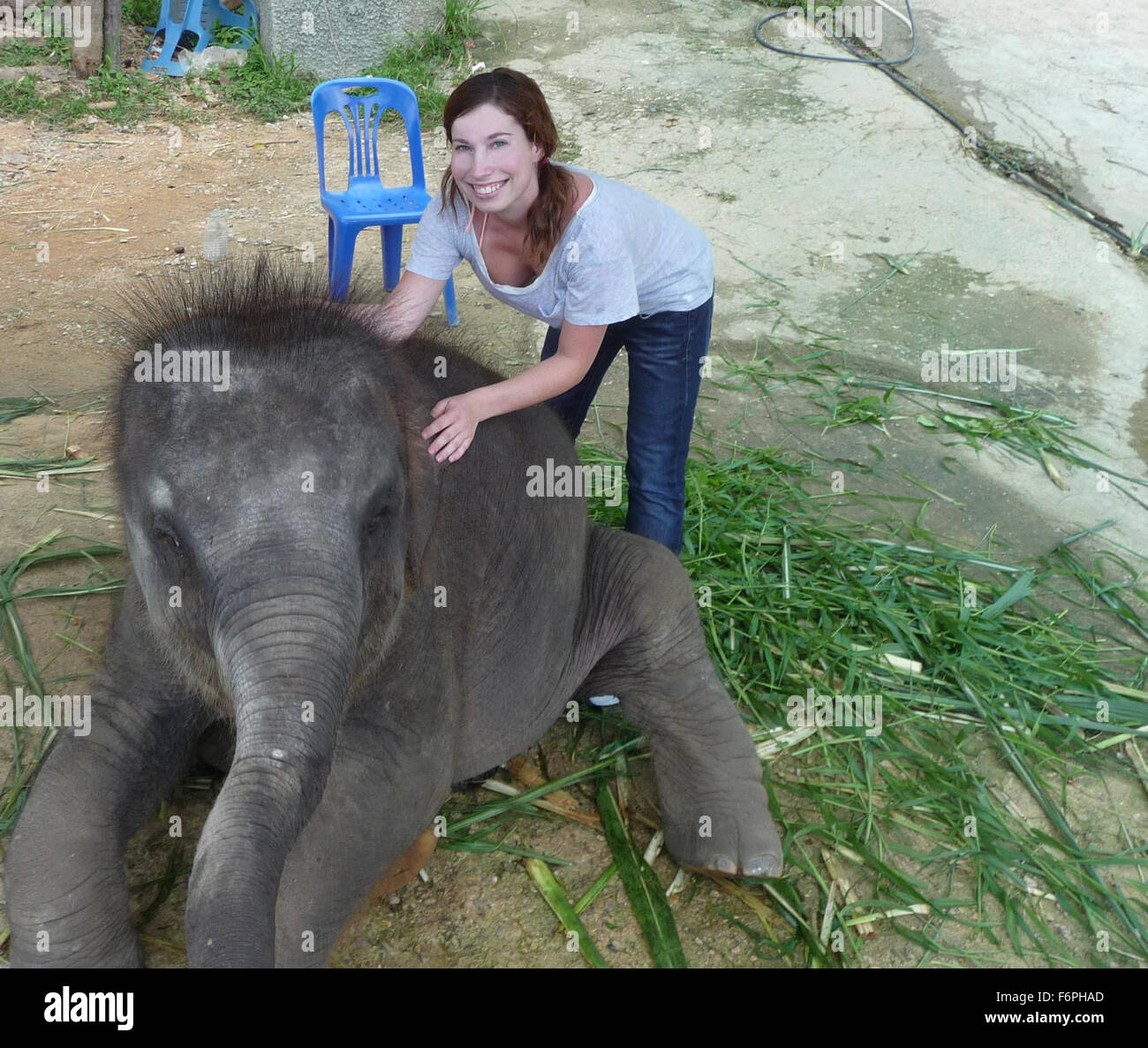 Young woman petting a baby elephant on the roadside in Phuket, Thailand ...