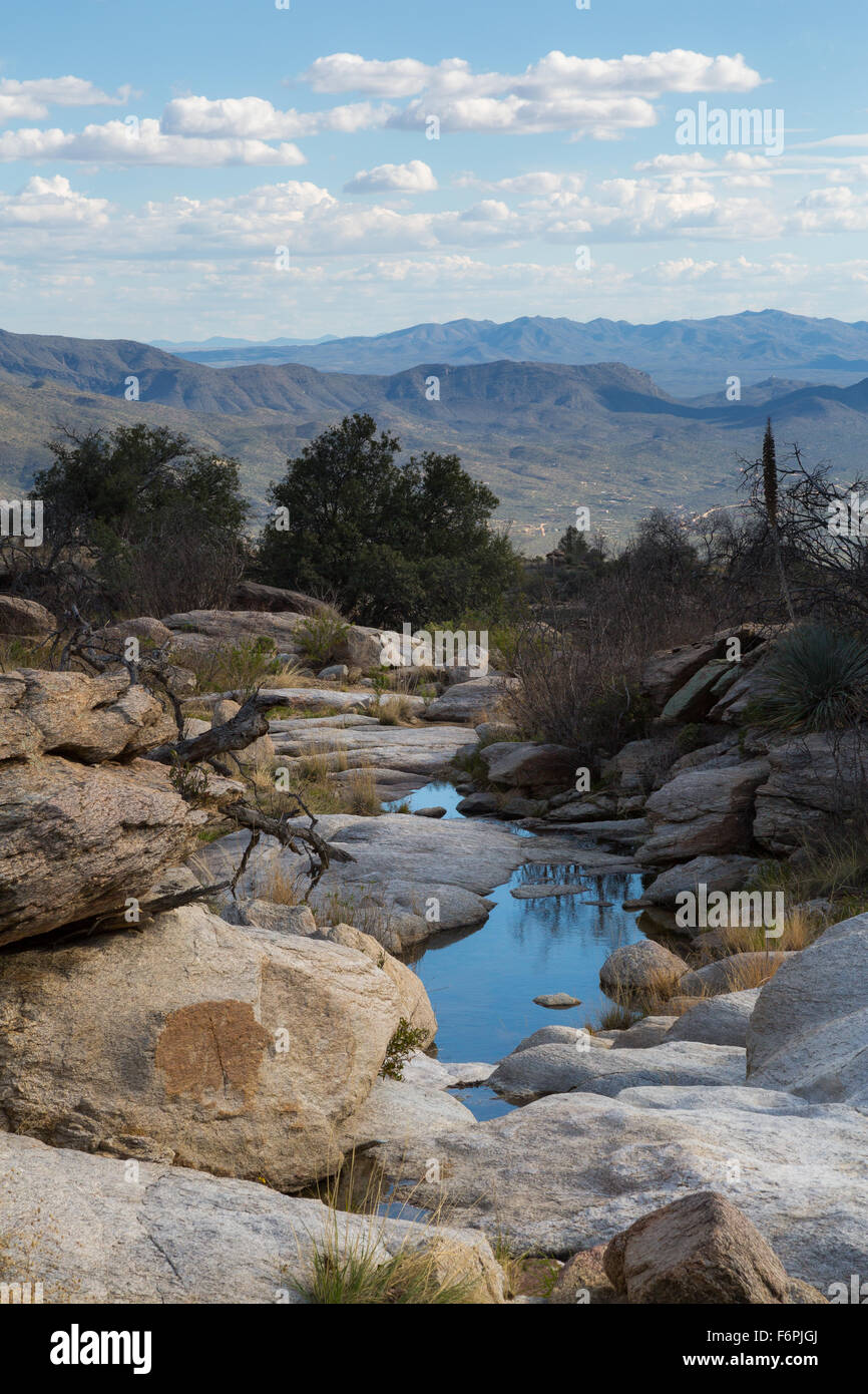 A pool of water sits among rocks on Mica Mountain, Saguaro National ...