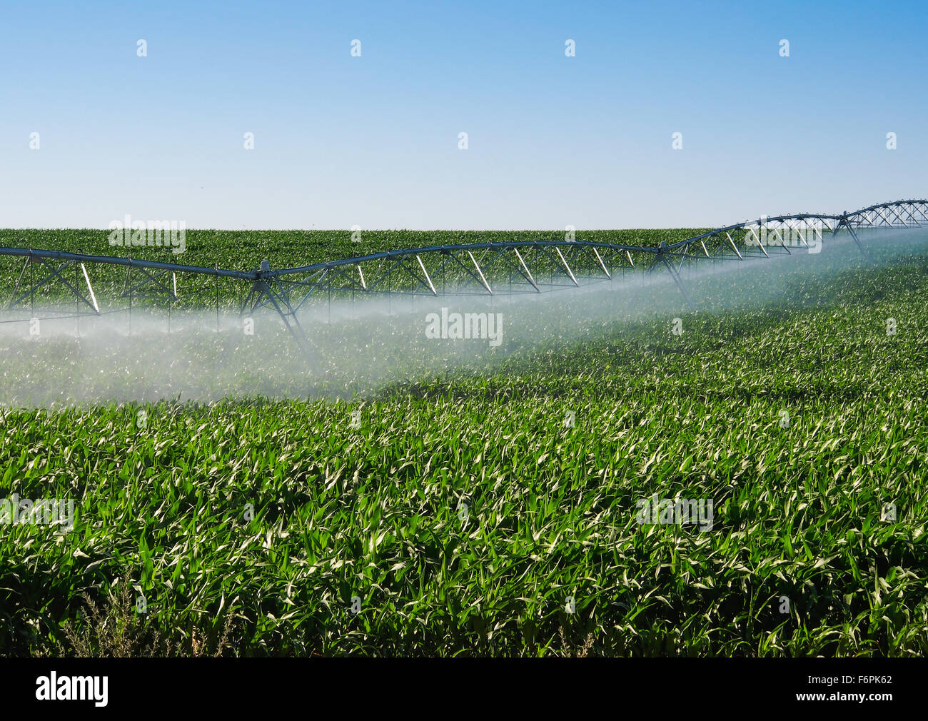 Irrigation pivot on a green field Stock Photo - Alamy