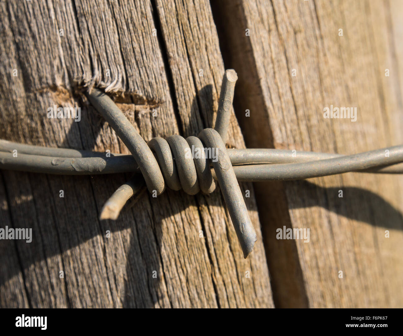 Old barbed wire fence closeup hi-res stock photography and images - Alamy