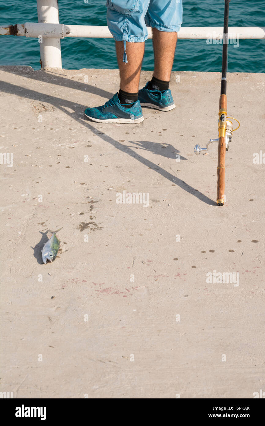 Cached Fish and A Man Putting His Fishing Rod on the Ground and Waiting ...