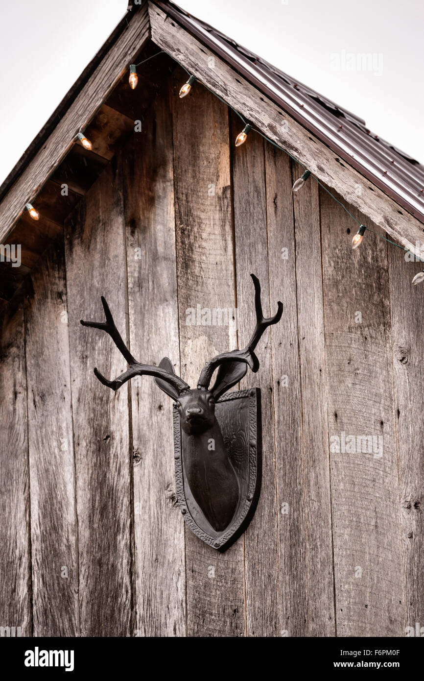 Old barn with Deer head decoration at the gallery of artist David Arms ...