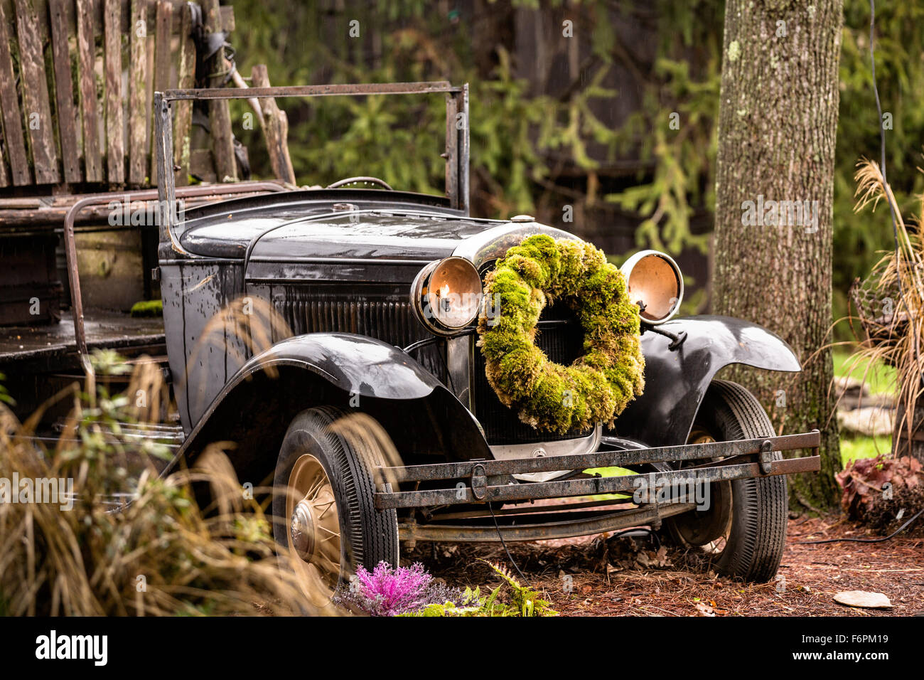 Old antique Model T Ford convertible decorated for Christmas at the ...