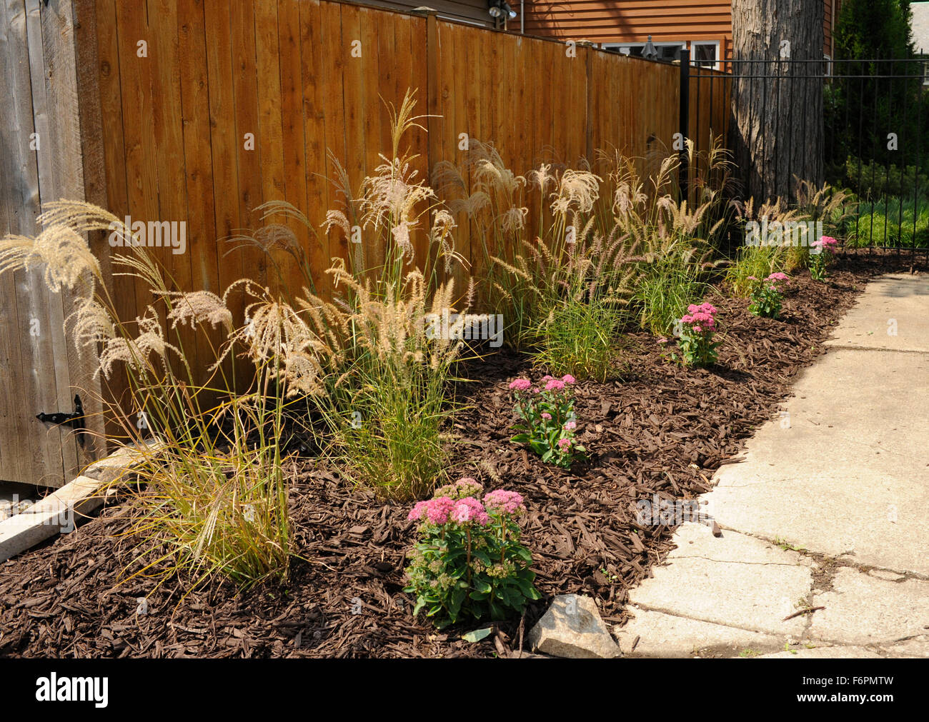 Ornamental grasses border grasses hi-res stock photography and images ...