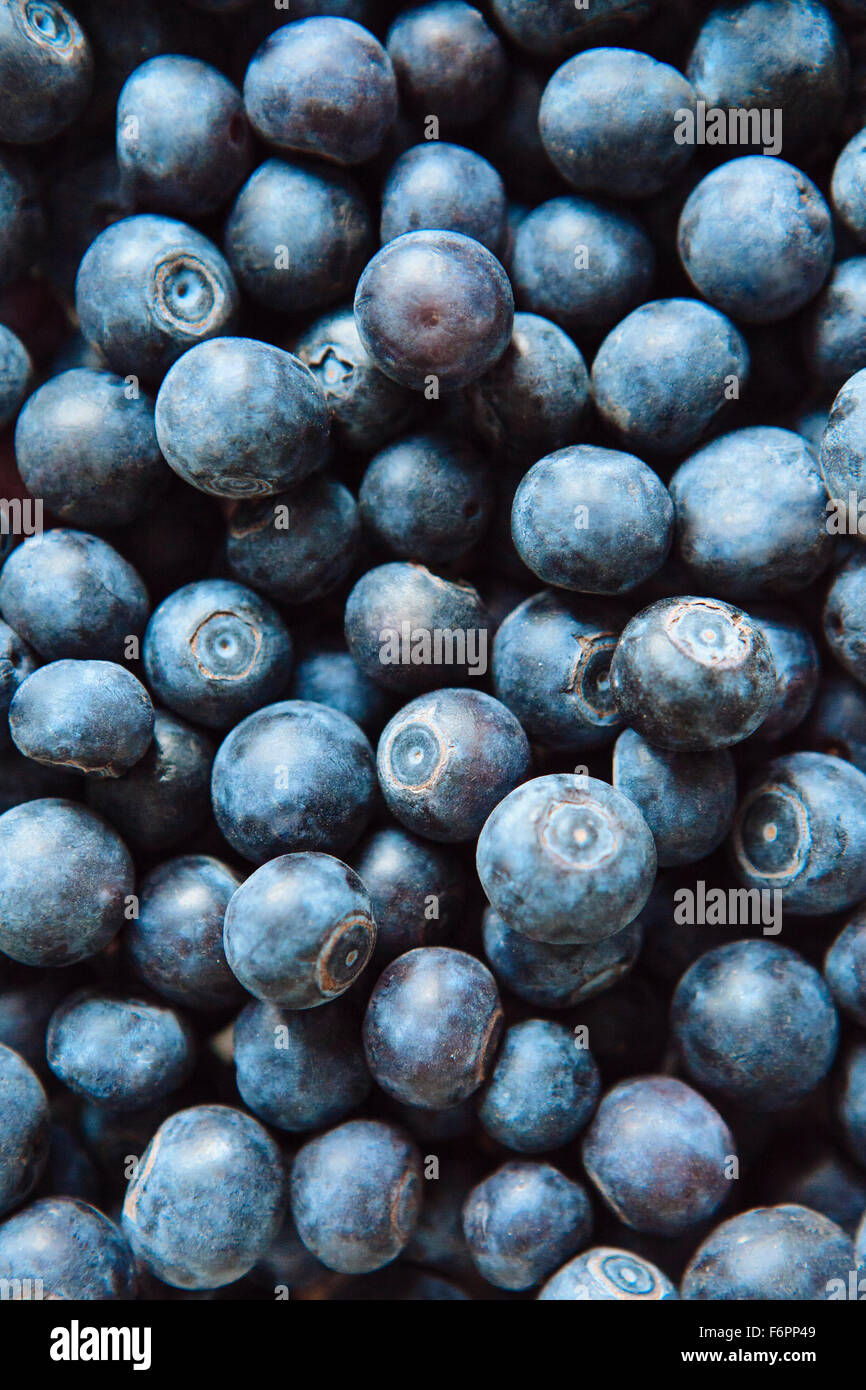 Close up of pile of blueberries Stock Photo - Alamy