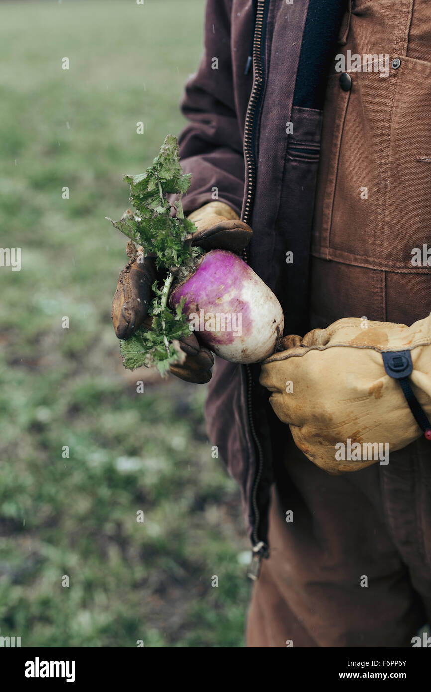Beetroot holding hi-res stock photography and images - Alamy