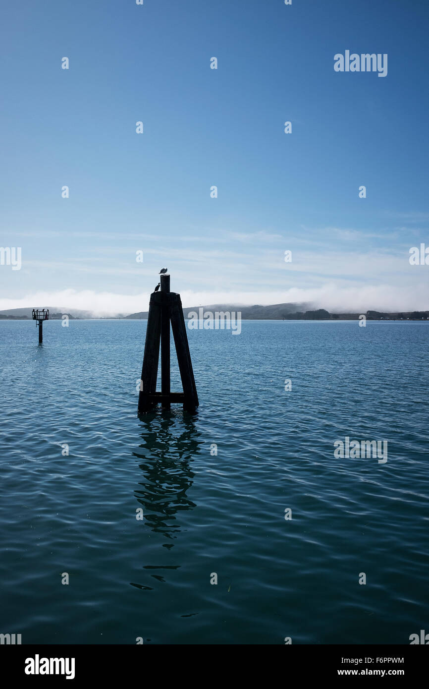 Buoy in the ocean with bird Stock Photo - Alamy