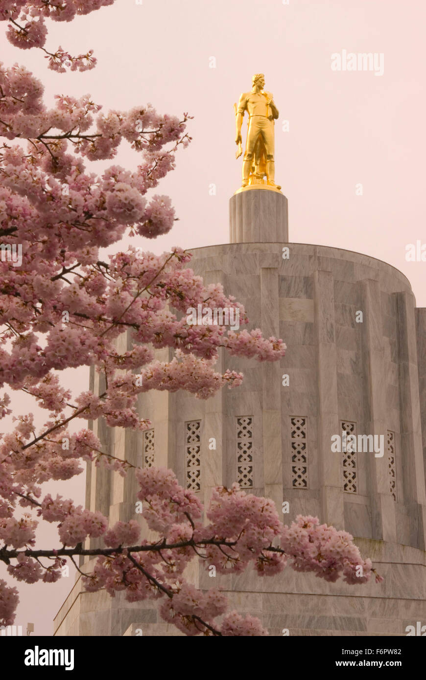 Cherry tree bloom with Oregon Pioneer, Oregon State Capitol grounds ...