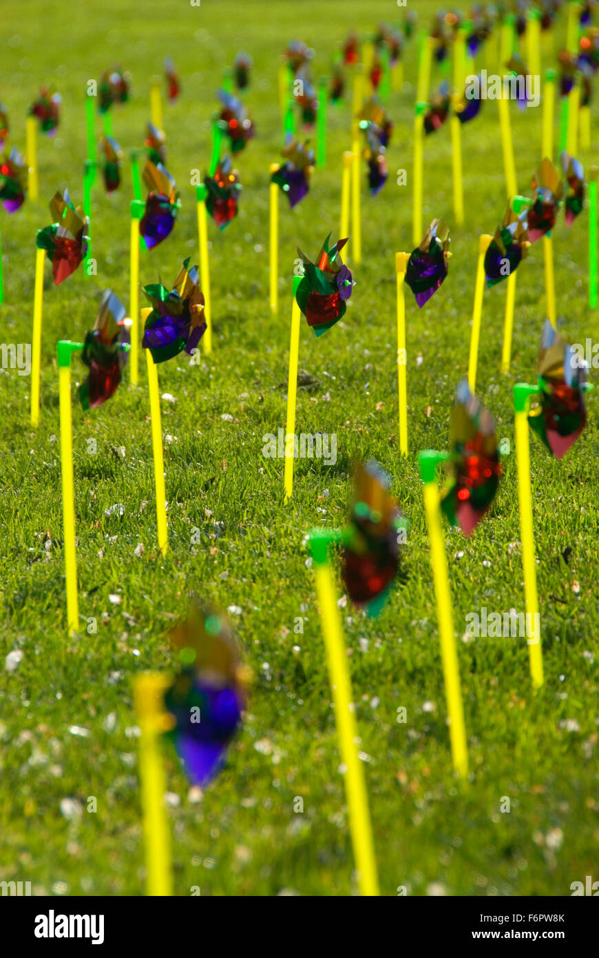 Field with pinwheels hi-res stock photography and images - Alamy