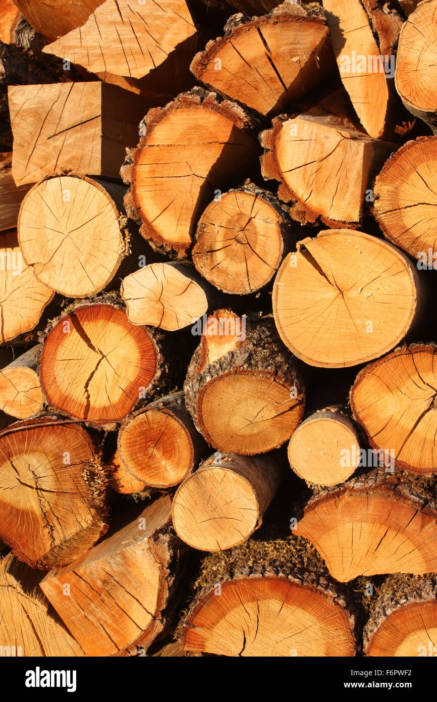 Freshly cut wood hi-res stock photography and images - Alamy