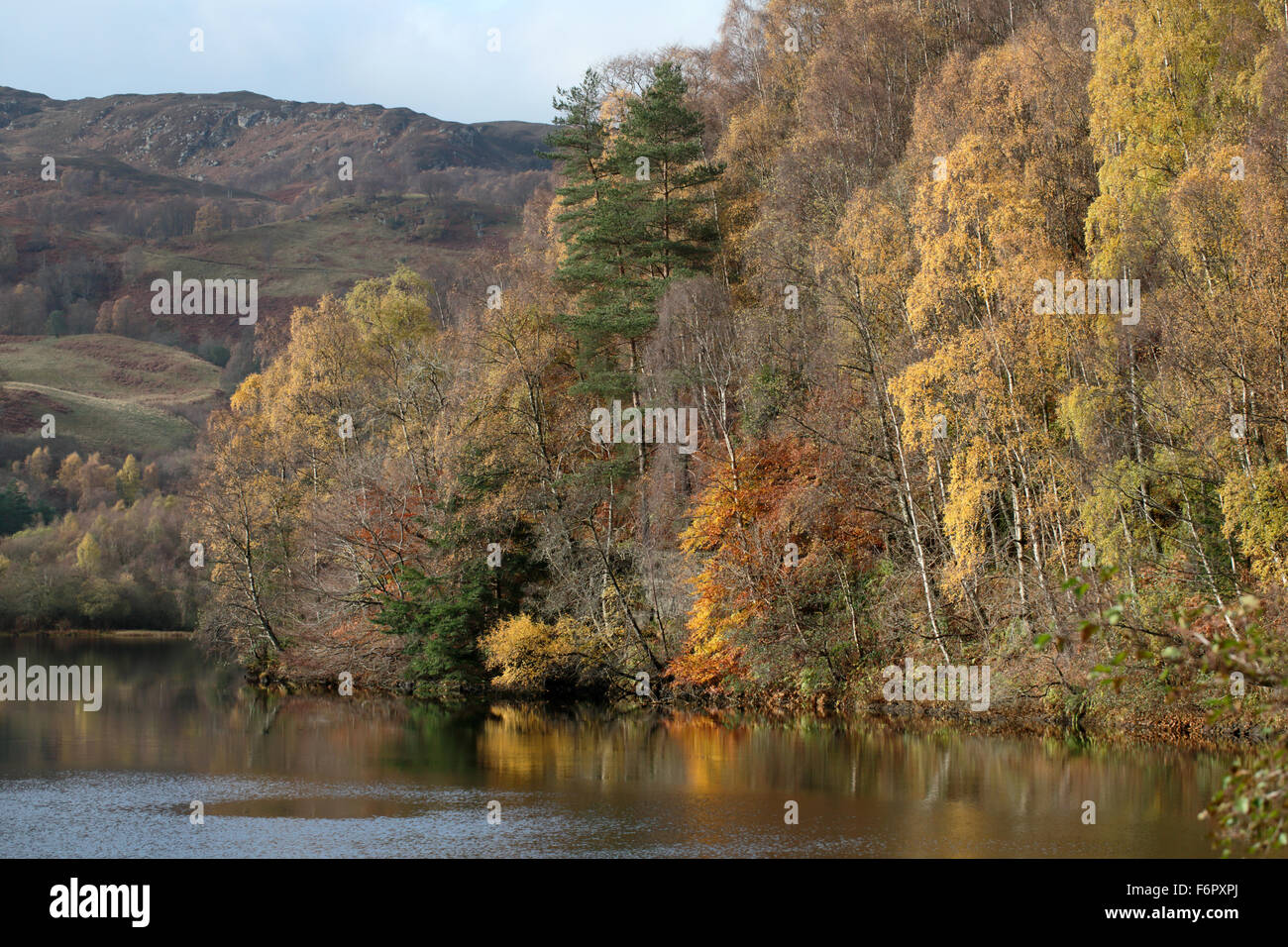 Autumn Reflection at Loch Faskally Stock Photo - Alamy