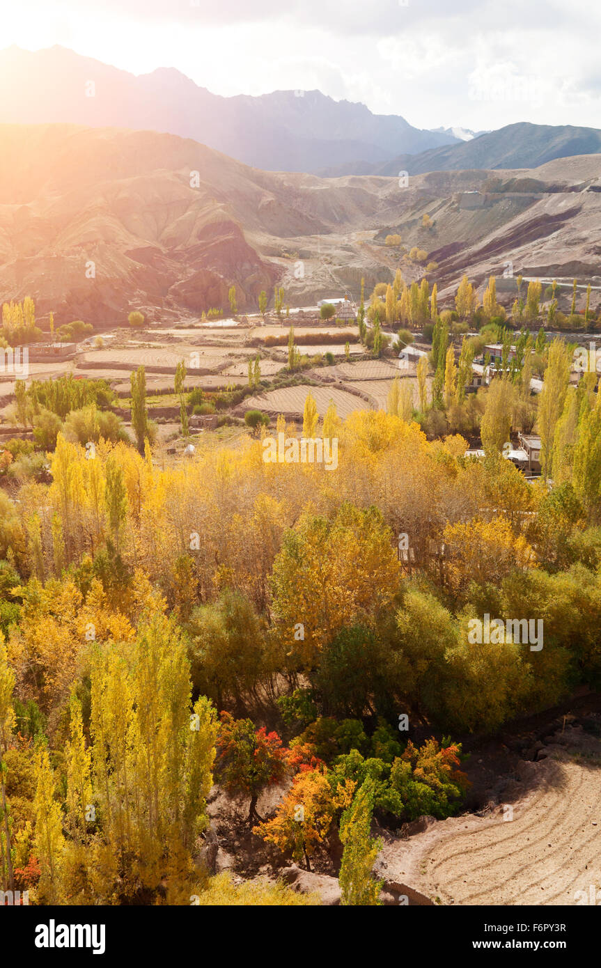 Kashmir valley autumn india hi-res stock photography and images - Alamy