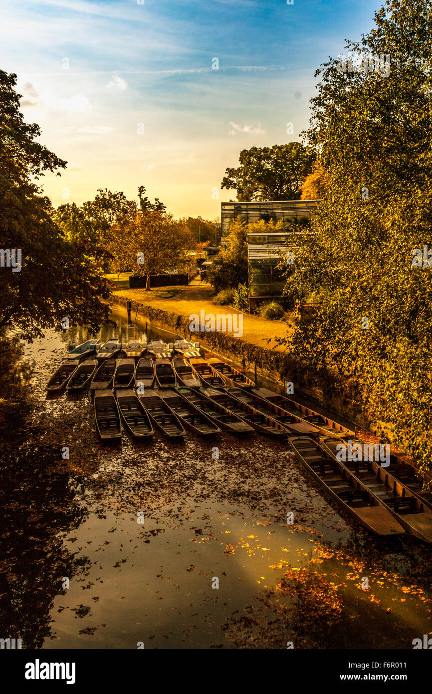 All summers end hi-res stock photography and images - Alamy