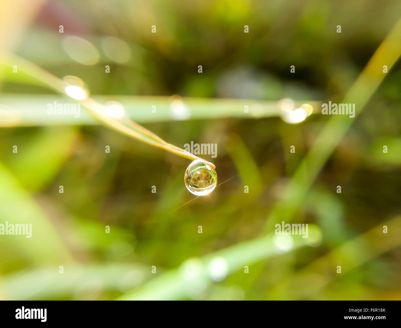 Up water hi-res stock photography and images - Alamy
