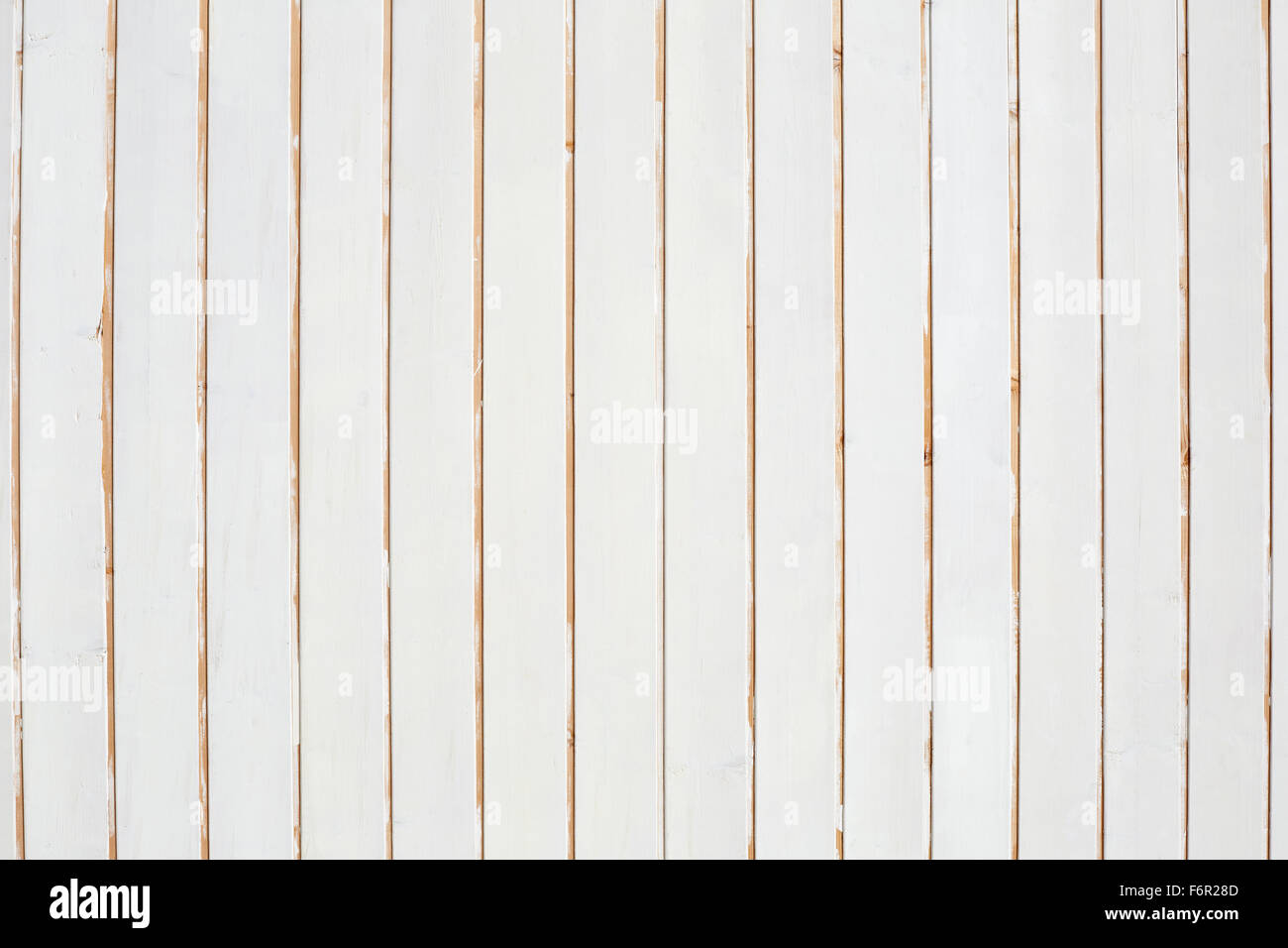 White Wood Panel Texture