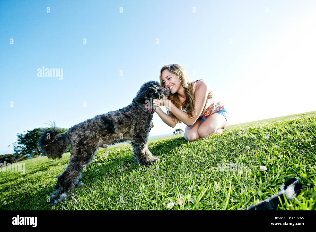 Woman playing dog young hi-res stock photography and images - Alamy