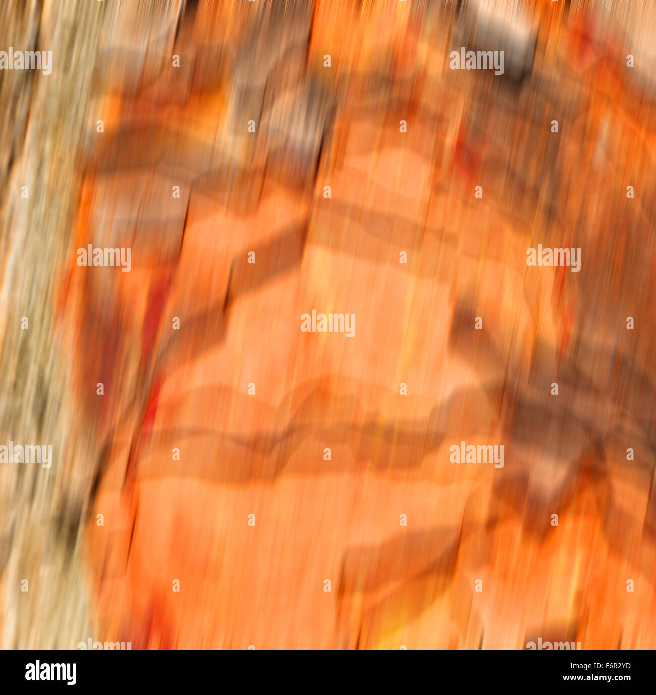 barck in the abstract close up of a tree color and texture Stock Photo ...