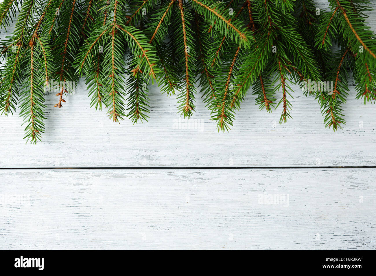 Banner with branch hi-res stock photography and images - Alamy