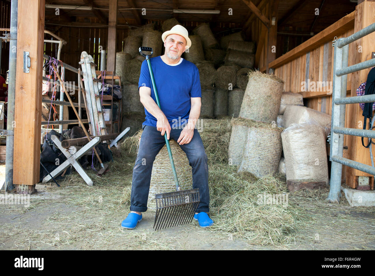 Working at a stable hi-res stock photography and images - Alamy